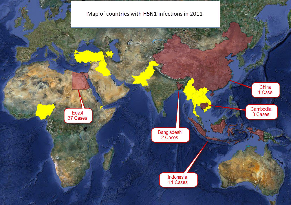 A Summary of Worldwide Human H5N1 Cases in 2011 - FluTrackers News and ...