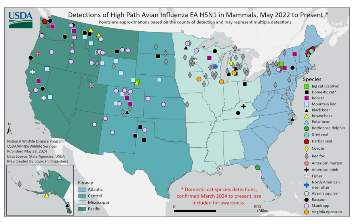 USDA Map - Detections of Highly Pathogenic Avian Influenza (H5N1) in ...